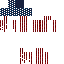 The Star Spangled Banner | Minecraft Skin