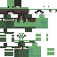 They say if you touch a frog, you become one | Minecraft Skin