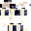 ORIGINAL two faced | Minecraft Skin