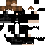 Black and white robe | Minecraft Skin