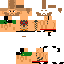 Mc Gregor 2013 Best | Minecraft Skin
