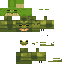frog minecraft skin | Minecraft Skin