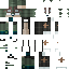 ~Scourge The Hedgehog~ (RQ) | Minecraft Skin