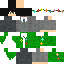 Updated Negative Panda Flower Wizard Skin | Minecraft Skin