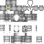 Gray Tabby Cat | Minecraft Skin