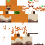 siamese/ragdoll carrot cat | Minecraft Skin