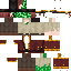 Pirate Creeper Hybrid | Minecraft Skin