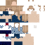 Taylor Swift "Midnights" from The Eras Tour | Minecraft Skin