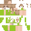 Taylor Swift Eras Tour- Folklore Dress (Green) | Minecraft Skin