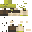 shrek | Minecraft Skin