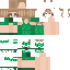 Taylor Swift - 1989 Tour Green Fringe Set V2 | Minecraft Skin