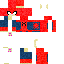 spider cat (pfp contest) | Minecraft Skin