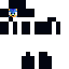 1 Pfp for Steam CE | Minecraft Skin