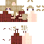 Taylor Swift Eras Tour evermore Dress ("Bronze" | Minecraft Skin