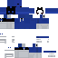 discord kitten reversed (original by soj on pmc) | Minecraft Skin