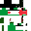 Palestine | Minecraft Skin