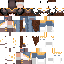 Made for my character in a SMP | Minecraft Skin