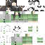 the ss burya | Minecraft Skin
