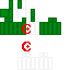 Algeria Flag | Minecraft Skin