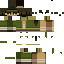 Earthbender | Minecraft Skin