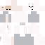 white minecraft cat | Minecraft Skin