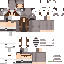 Raccoon Girl Full Torso | Minecraft Skin