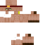 Derp Villager Ninja | Minecraft Skin