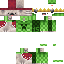ExplodingPug | Creeper Capegang | Minecraft Skin