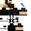 The SHIELD (Seth Rollins), 2013 | Minecraft Skin