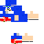 riders sonic v2 | Minecraft Skin