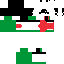 Palestine | Minecraft Skin