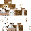Barn Owl Based On A Photo | Minecraft Skin
