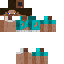 Stupid Broke Steve | Minecraft Skin
