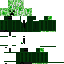 Fancy Creeper | Minecraft Skin