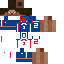 Pistons Icon | Minecraft Skin