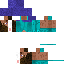 Inverted steve | Minecraft Skin