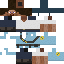 classic steve tf2 | Minecraft Skin