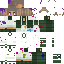 Purpled Blank Canvas MCC Green Geckos | Minecraft Skin