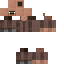 Villager News Reporter | Minecraft Skin