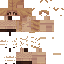 lacy : te | Minecraft Skin