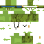 Flippy | Minecraft Skin