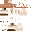 idk | Minecraft Skin